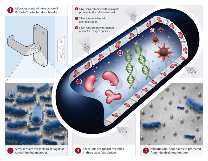 BioCote - Salto Nederland by Rosystems